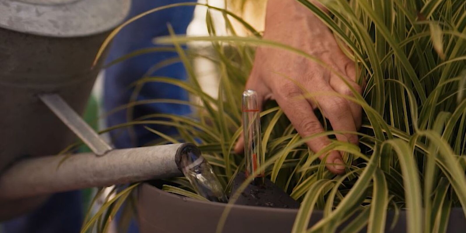 In- und Outdoor-Gefäße mit Bewässerungssystem | Starkl Gartenblog ...