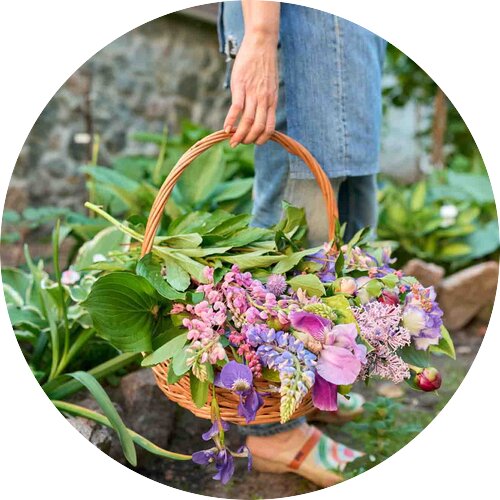 Schnittblumen aus dem eigenen Garten | STARKL