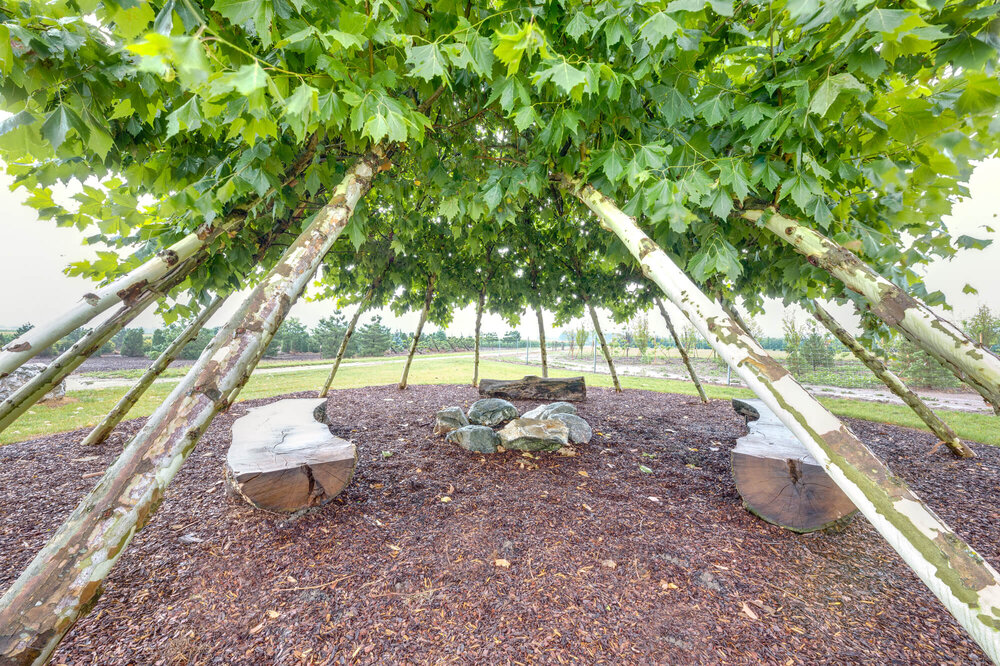 Crazy Trees aus Eigenproduktion | Gartengestaltung & Gartenplanung vom ...