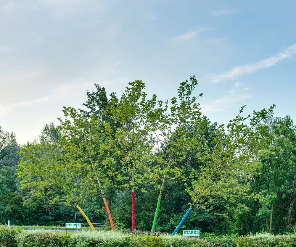 Crazy Trees aus Eigenproduktion | Gartengestaltung & Gartenplanung vom ...