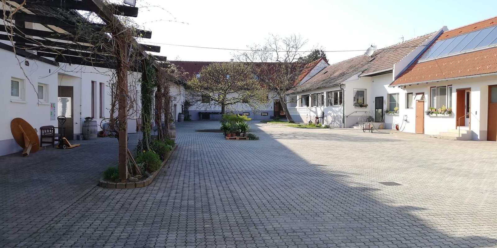 Grüner Innenhof | Gartengestaltung & Gartenplanung vom Profi | STARKL