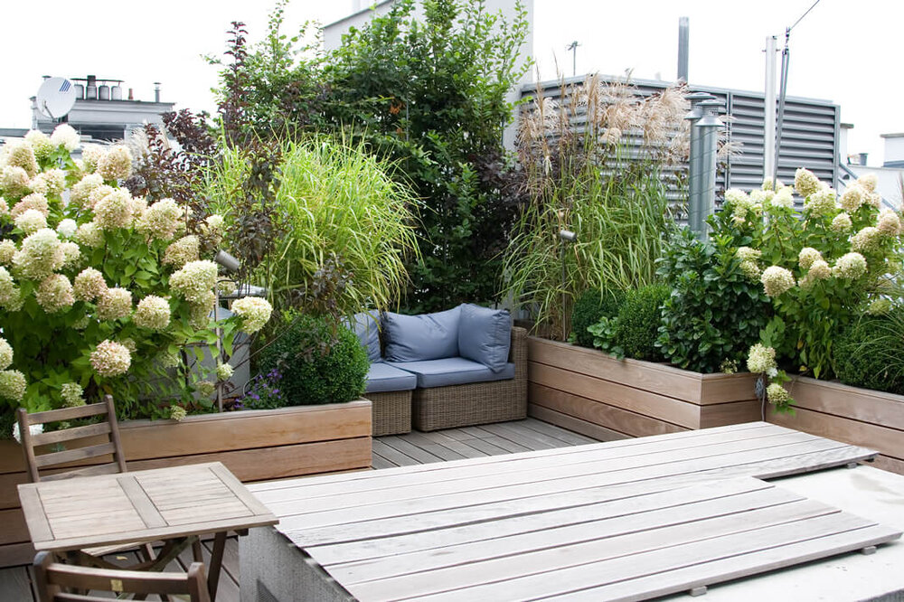 Verwunderlich Sichtschutz Pflanzen Terrasse Bild