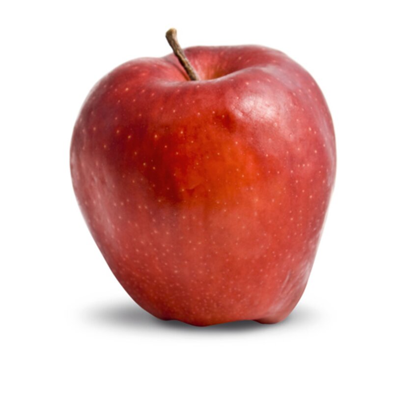 Obstbäume richtig schneiden - dein Ratgeber | STARKL