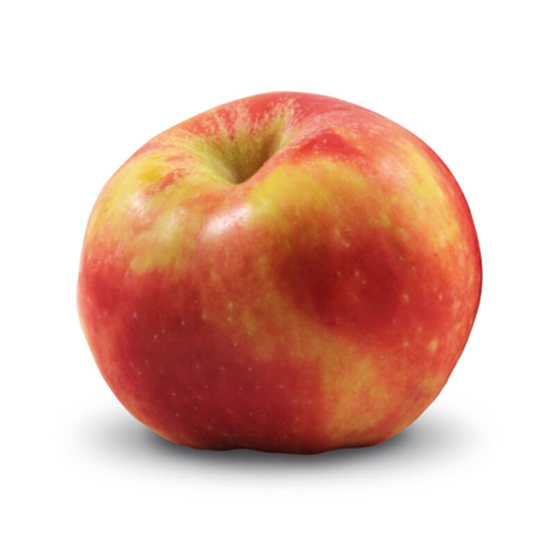Obstbäume richtig schneiden - dein Ratgeber | STARKL