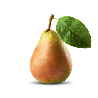 Birne | STARKL