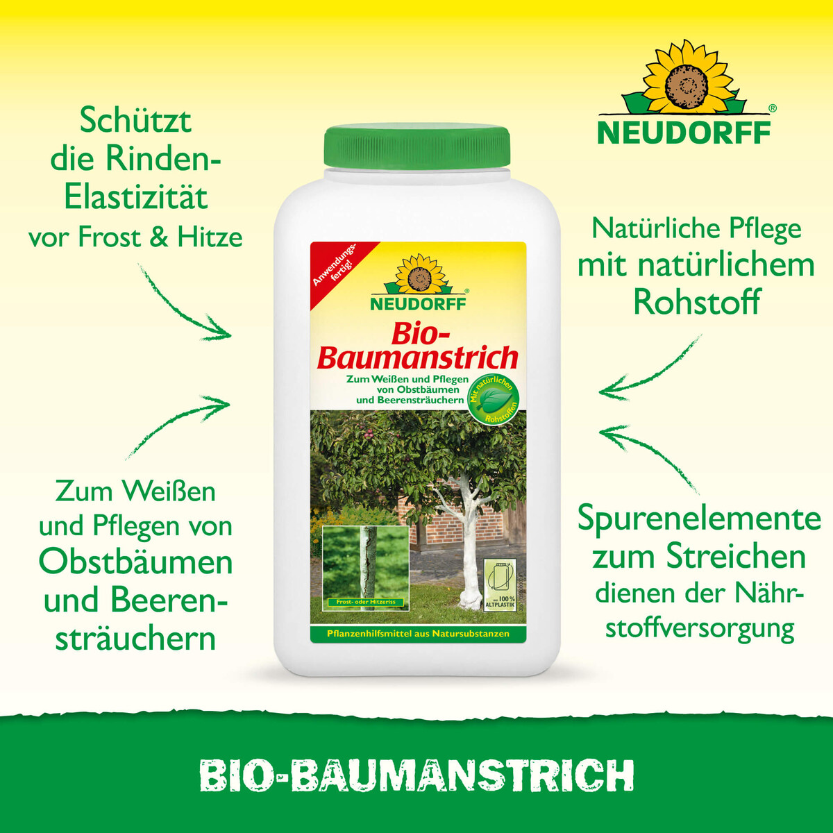 Elegantes Baumanstrich Gegen Schadlinge Fotos