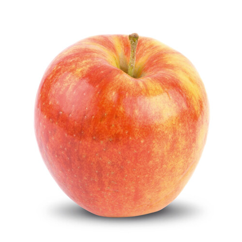 Malus domestica 'Jonagold' | STARKL